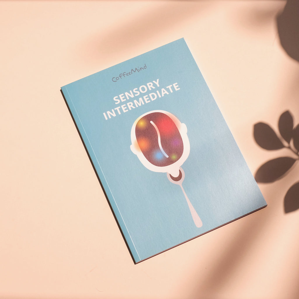 Sensory Intermediate: Ida Steen | Cata Coffee